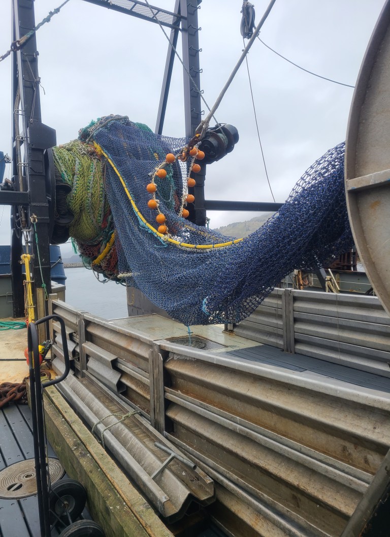 Alaska Groundfish Data Bank