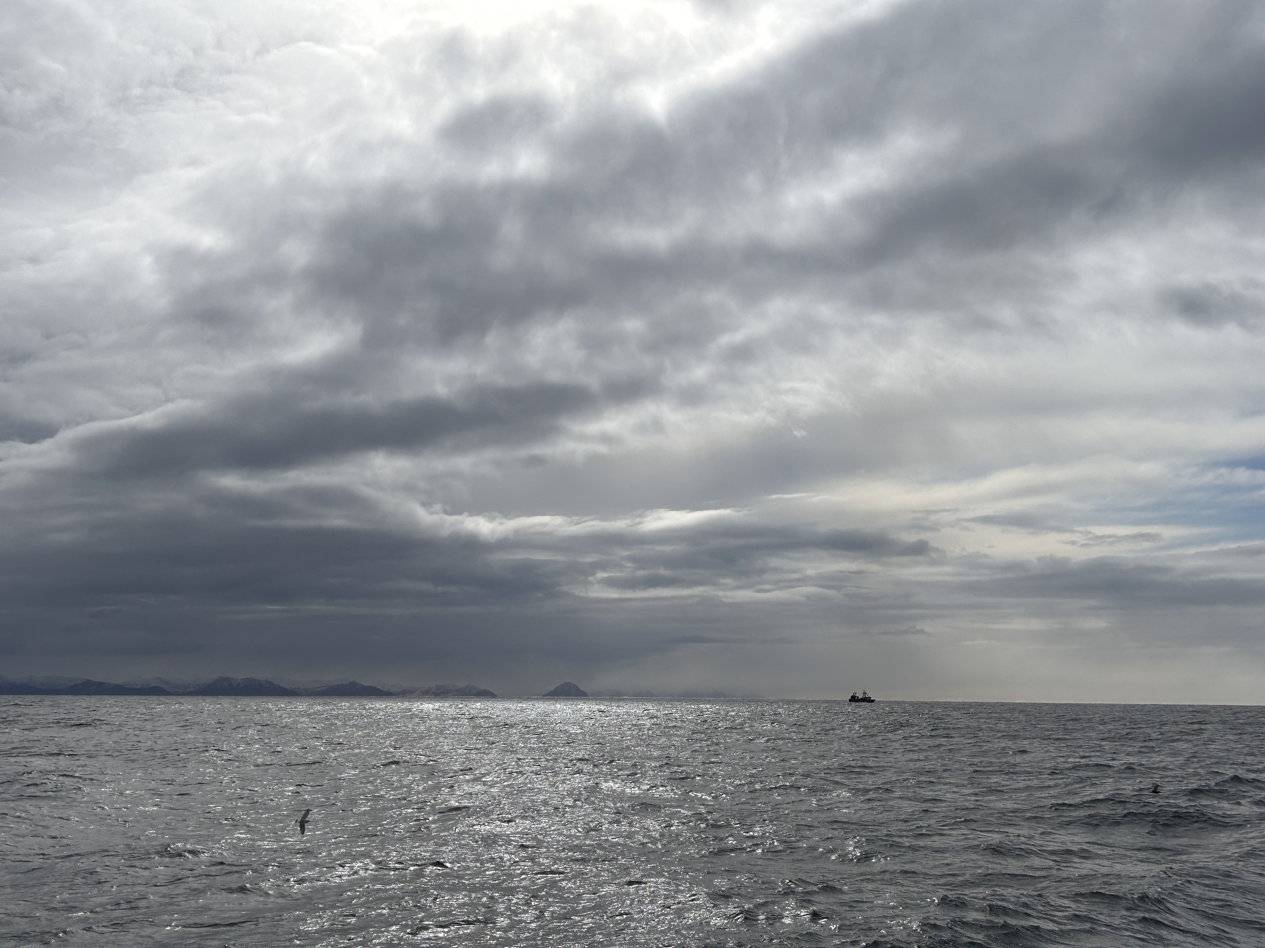 Kodiak’s Trawl Fishery – Alaska Groundfish Data Bank